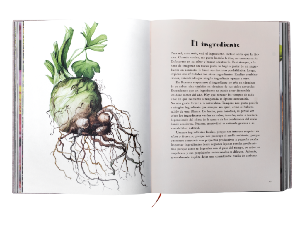 Book - Elena Reygadas