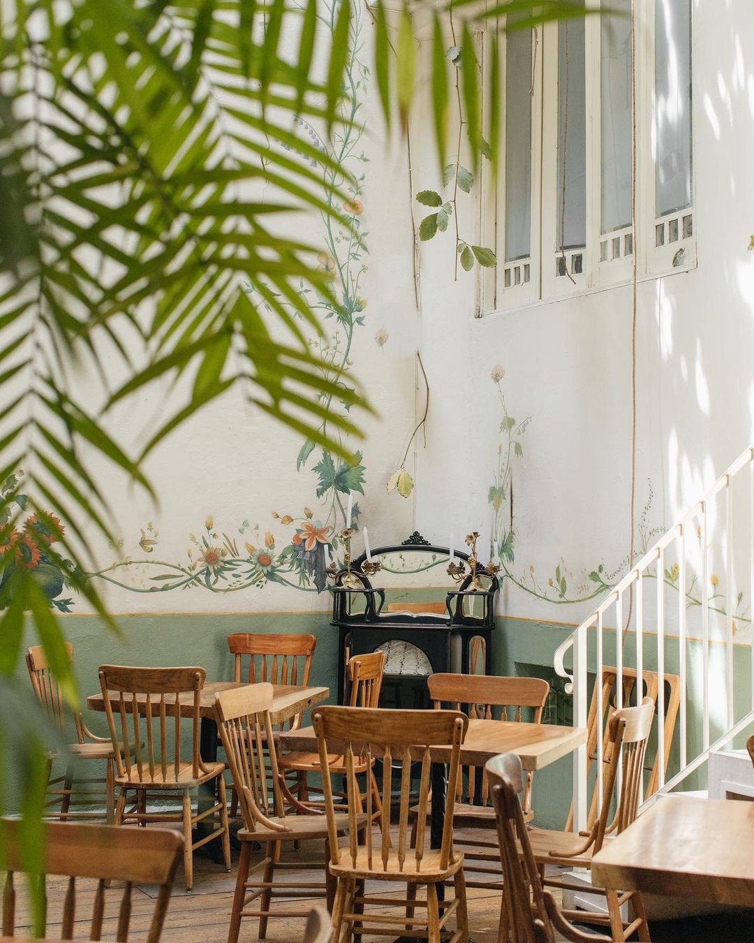 Rosetta - Elena Reygadas